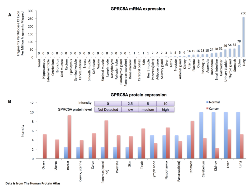 Oncoscience | The emerging roles of GPRC5A in diseases