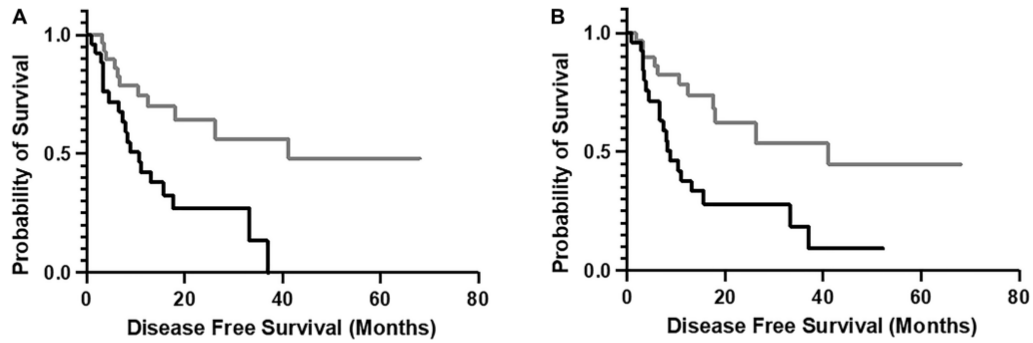 Oncoscience | An immunoinformatics assessment of the cancer testis ...