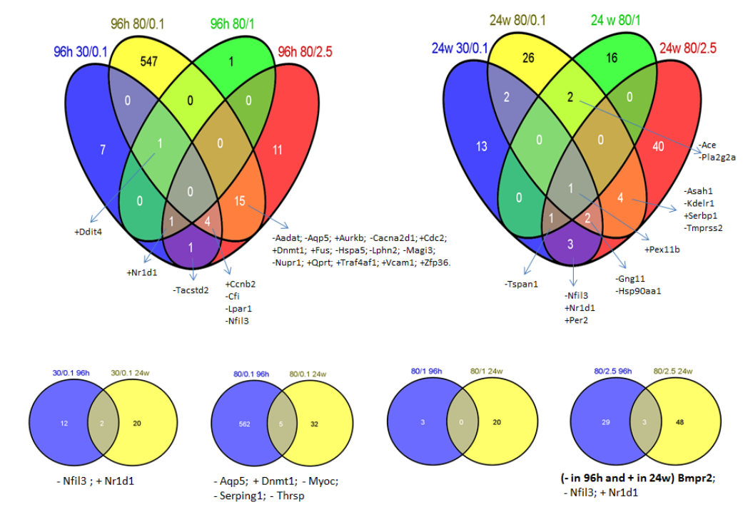 Oncoscience | Low dose irradiation profoundly affects transcriptome and ...